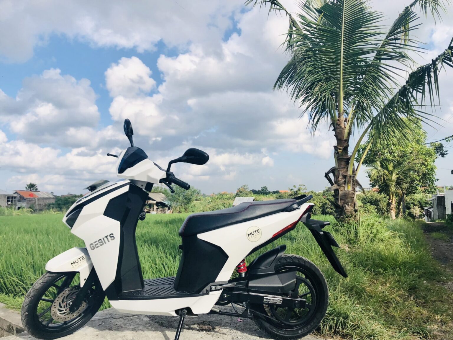 Roller mieten in Bali / Indonesien: Alles rund ums Roller fahren