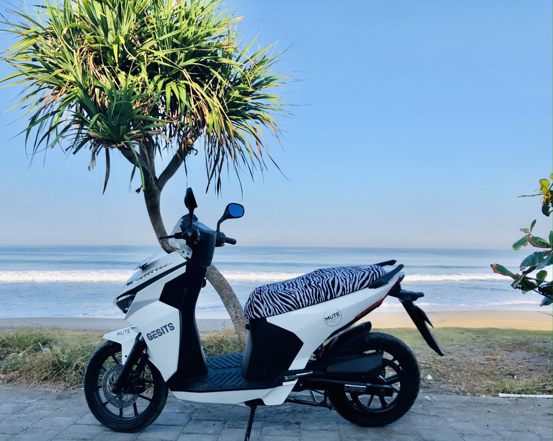 Roller mieten in Bali / Indonesien: Alles rund ums Roller fahren