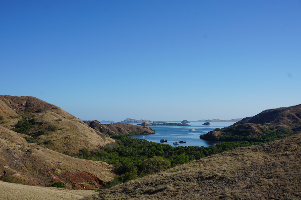 Komodo Nationalpark: Inseln, Tauchen und Komodowarane
